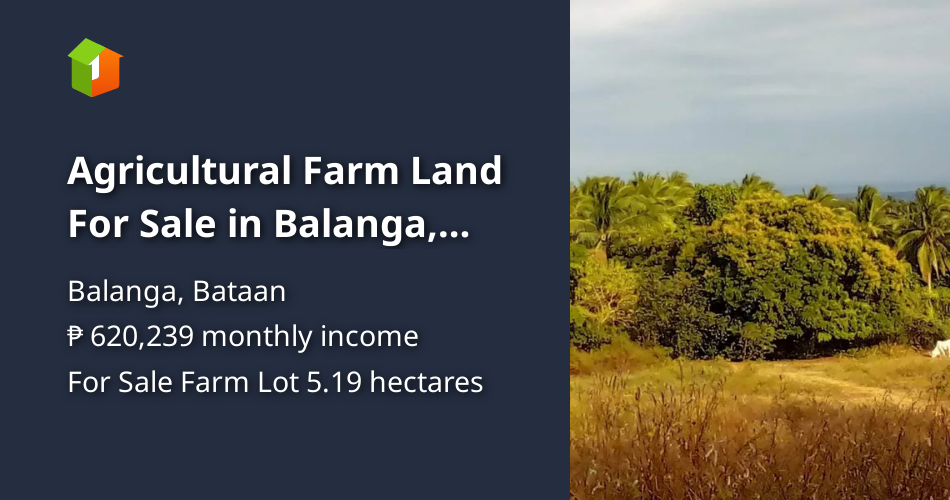 Agricultural Farm Land For Sale in Balanga, Bataan [Lots 🚜] (October ...