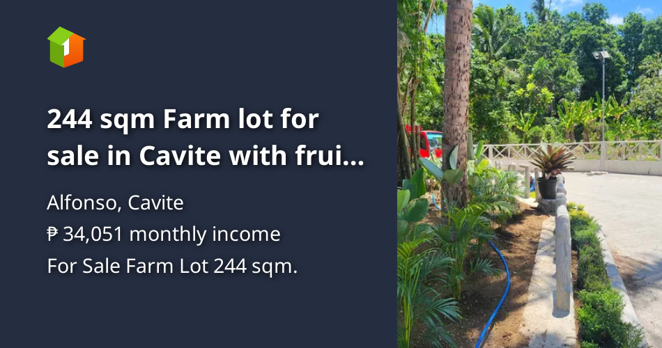 244 sqm Farm lot for sale in Cavite with fruit bearing trees [Lots 🚜 ...