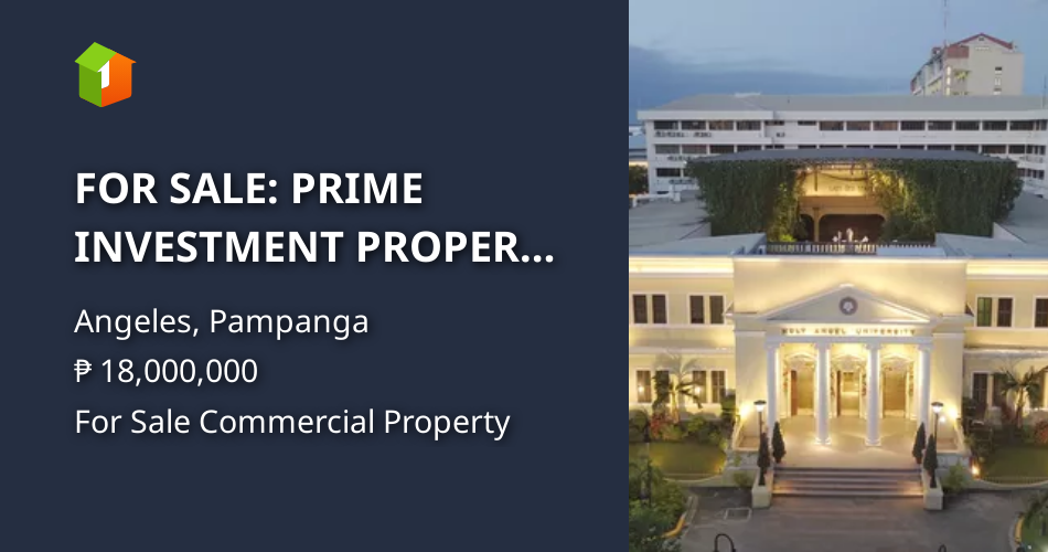 FOR SALE: PRIME INVESTMENT PROPERTY NEAR HOLY ANGEL UNIVERSITY ...