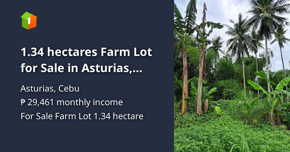 1.34 hectares Farm Lot for Sale in Asturias, Cebu [Lots 🚜] (July 2025 ...