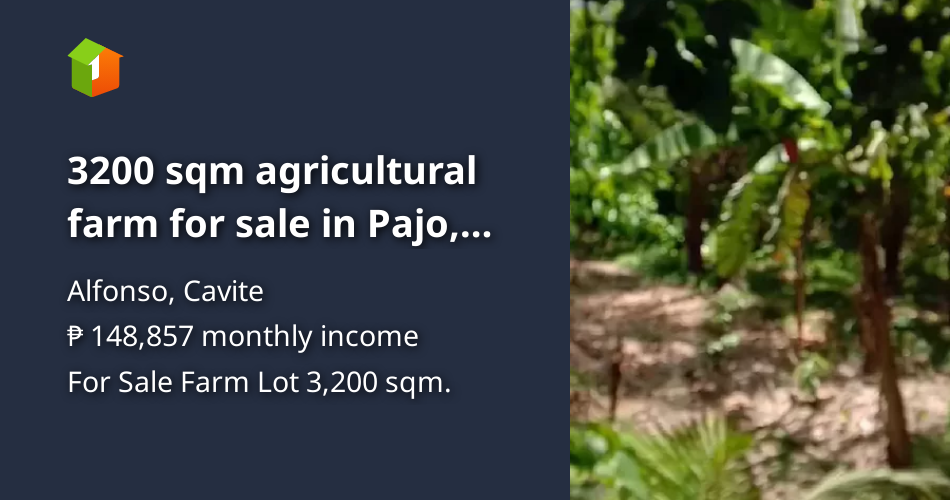 3200 sqm agricultural farm for sale in Pajo, alfonso, Cavite [Lots 🚜 ...