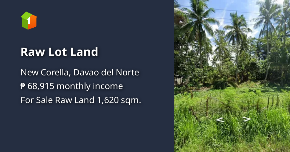 Raw Lot Land [Lots 🚜] (October 2022) in New Corella, Davao del Norte ...