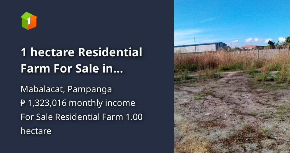 1 hectare Residential Farm For Sale in Mabalacat Pampanga [Lots 🚜] (March 2024) in Mabalacat ...