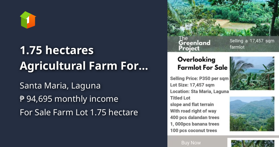 1.75 hectares Agricultural Farm For Sale in Santa Maria Laguna [Lots 🚜 ...