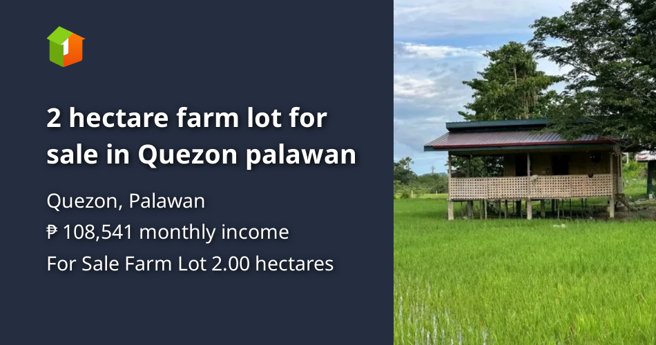 2 hectare farm lot for sale in Quezon palawan [Lots 🚜] (February 2026 ...
