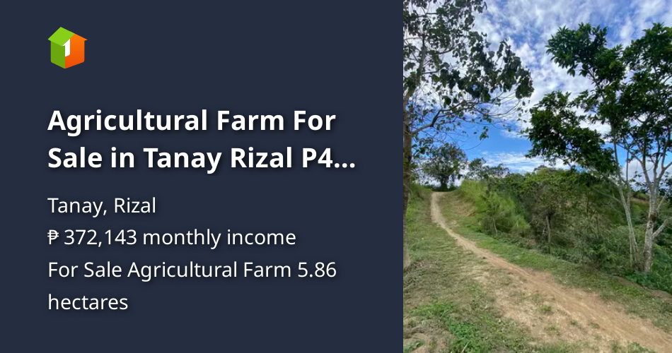 Agricultural Farm For Sale in Tanay Rizal P400 per sqm [Lots 🚜] (August ...