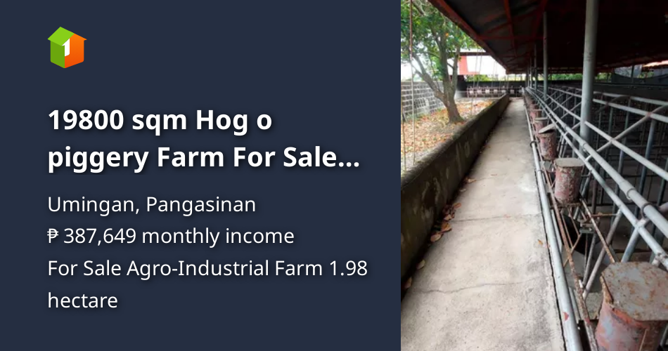 19800 sqm Hog o piggery Farm For Sale in Umingan Pangasinan [Lots 🚜 ...