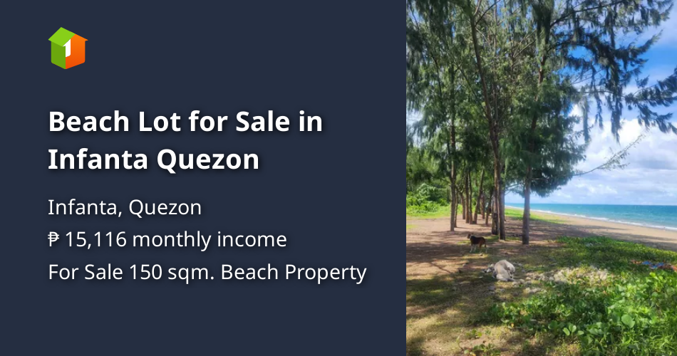 Beach Lot for Sale in Infanta Quezon [Beach Properties 🏖️] (June 2025 ...