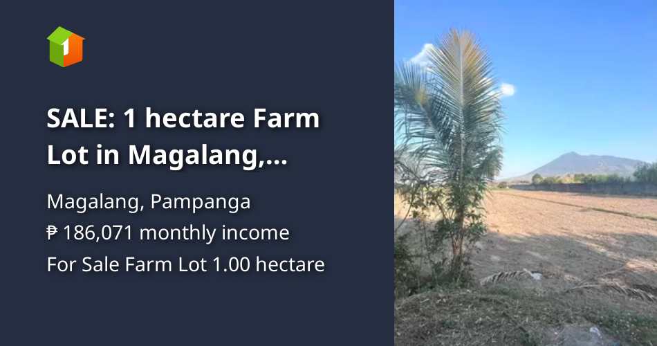 SALE: 1 hectare Farm Lot in Magalang, Pampanga [Lots 🚜] (October 2025) in Magalang, Pampanga for ...