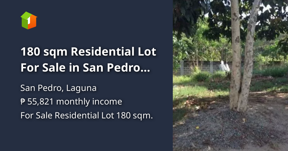 180 sqm Residential Lot For Sale in San Pedro Laguna, Philippines [Lots ...