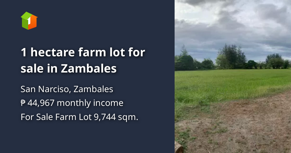 1 hectare farm lot for sale in Zambales [Lots 🚜] (May 2025) in San ...