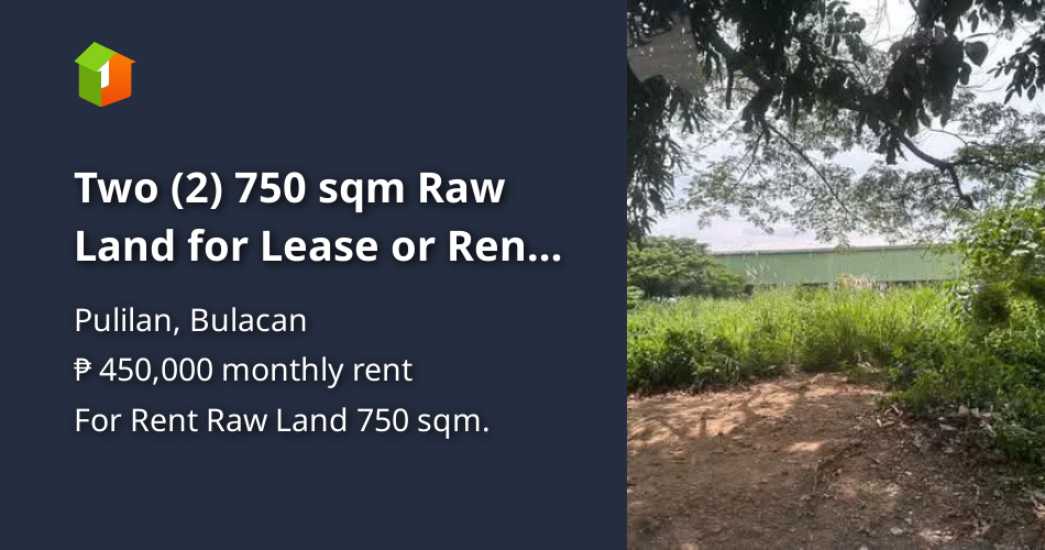 Two (2) 750 sqm Raw Land for Lease or Rent in front of SM Center ...