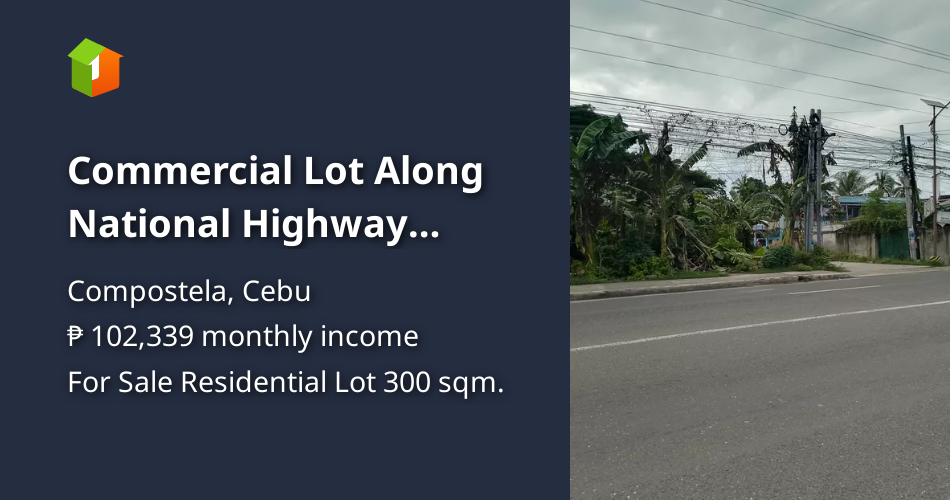 Commercial Lot Along National Highway Compostela, Cebu [Lots 🚜 ...