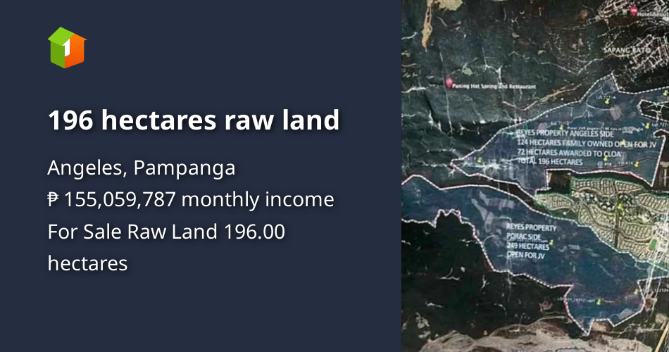 196 hectares raw land [Lots 🚜] (January 2025) in Angeles, Pampanga for sale