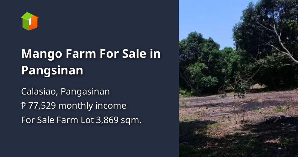 Mango Farm For Sale in Pangsinan [Lots 🚜] (May 2025) in Calasiao ...