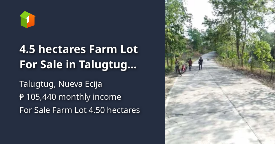 4.5 hectares Farm Lot For Sale in Talugtug Nueva Ecija [Lots 🚜 ...