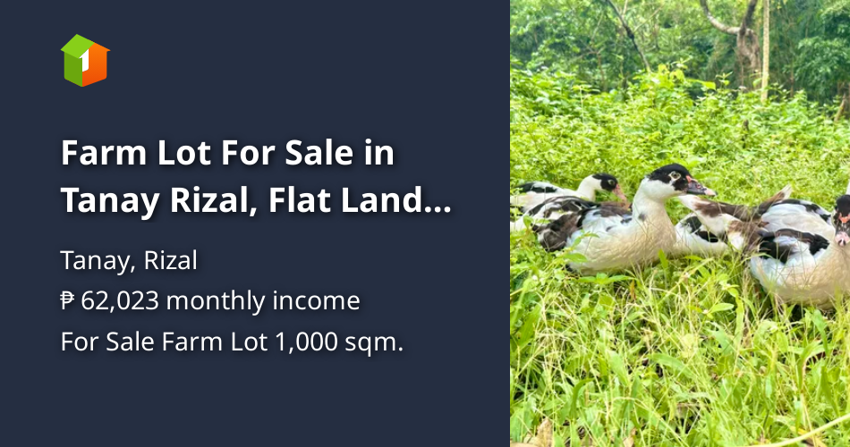 Farm Lot For Sale in Tanay Rizal, Flat Lands & with Flexible Term [Lots ...