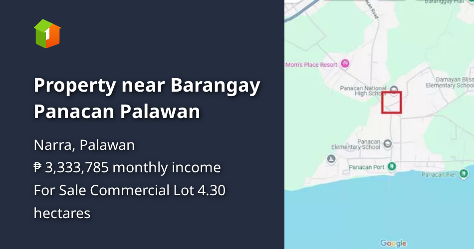 Property near Barangay Panacan Palawan [Lots 🚜] (June 2025) in Narra ...