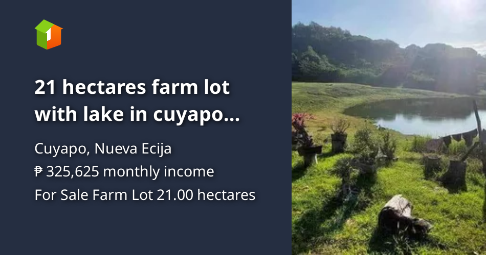21 hectares farm lot with lake in cuyapo Nueva Ecija [Lots 🚜] (December ...