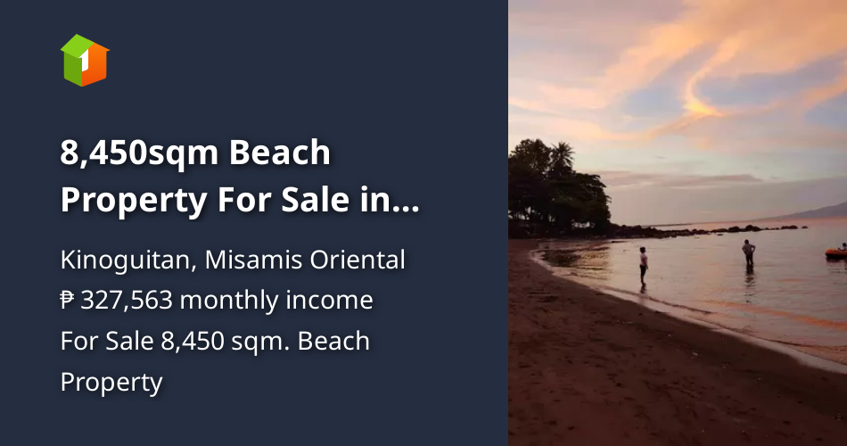 8,450sqm Beach Property For Sale in Esperanza, Kinoguitan, Misamis Or ...