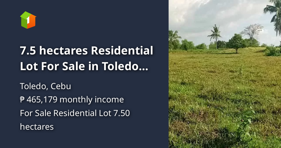 7.5 hectares Residential Lot For Sale in Toledo South Cebu [Lots 🚜 ...