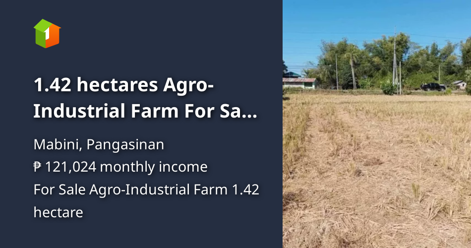 1.42 hectares Agro-Industrial Farm For Sale in Mabini Pangasinan [Lots 🚜] (April 2025) in Mabini ...