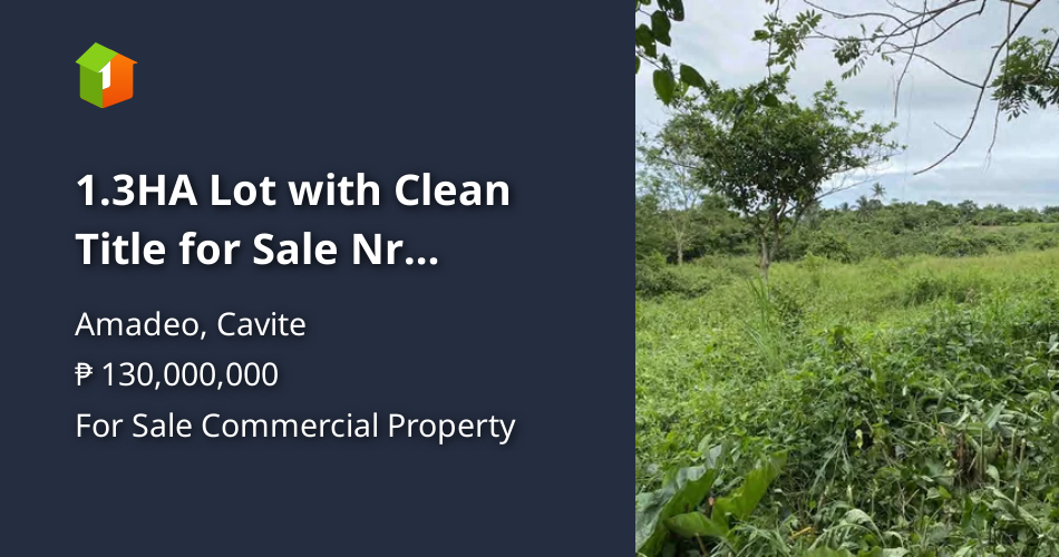 1.3HA Lot with Clean Title for Sale Nr Tagaytay ByPass. P10k/sqm ...
