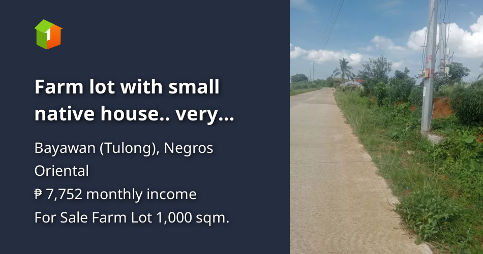 Farm lot with small native house.. very affordable along highway ...