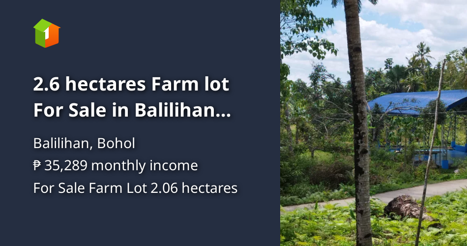 2.6 hectares Farm lot For Sale in Balilihan Bohol [Lots 🚜] (December ...