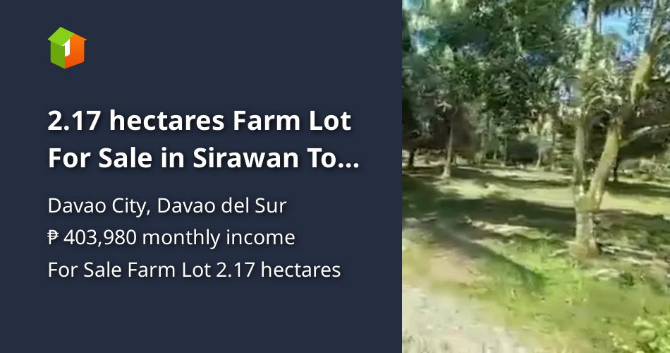 2.17 hectares Farm Lot For Sale in Sirawan Toril Davao City [Lots 🚜 ...