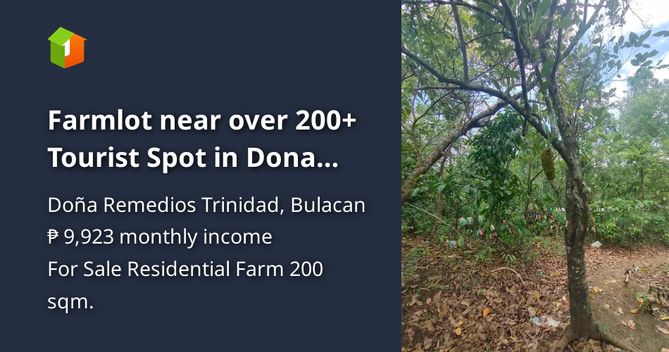 Farmlot near over 200+ Tourist Spot in Dona Remedios Trinidad [Lots 🚜 ...