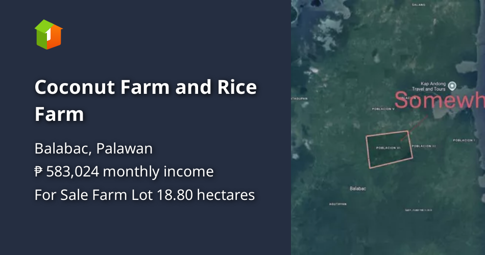 Coconut Farm and Rice Farm [Lots 🚜] (December 2024) in Balabac, Palawan ...