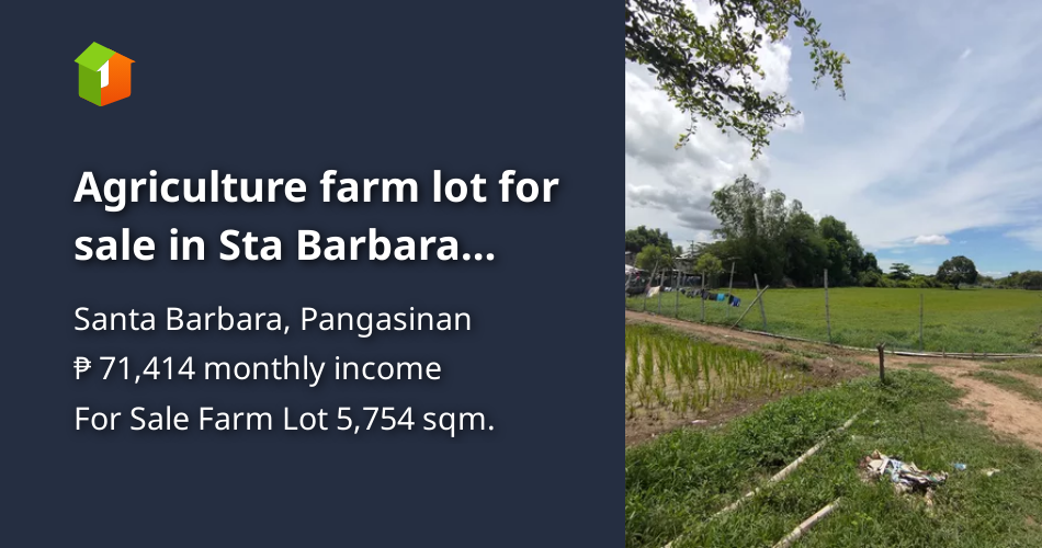 Agriculture farm lot for sale in Sta Barbara pangasinan [Lots 🚜 ...