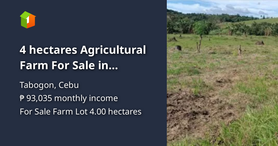 4 hectares Agricultural Farm For Sale in Tabogon Cebu [Lots 🚜] (October ...