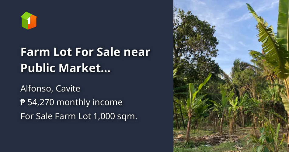 Farm Lot For Sale near Public Market Alfonso,Cavite [Lots 🚜] (June 2025) in Alfonso, Cavite for sale