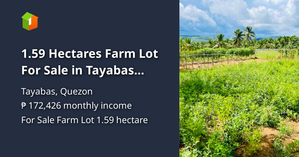 1.59 Hectares Farm Lot For Sale in Tayabas Quezon [Lots 🚜] (April 2026 ...