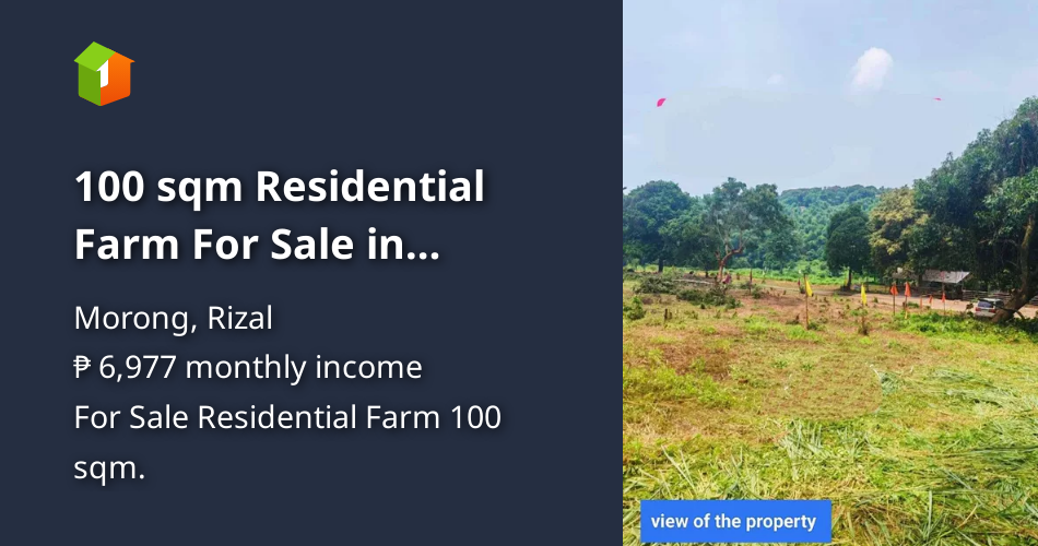 100 sqm Residential Farm For Sale in Morong Rizal [Lots 🚜] (December ...