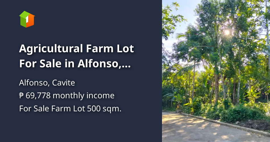 Agricultural Farm Lot For Sale in Alfonso, Cavite [Lots 🚜] (October 2025) in Alfonso, Cavite for ...