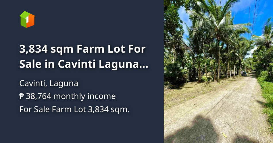 3,834 sqm Farm Lot For Sale in Cavinti Laguna with fruit bearing trees ...
