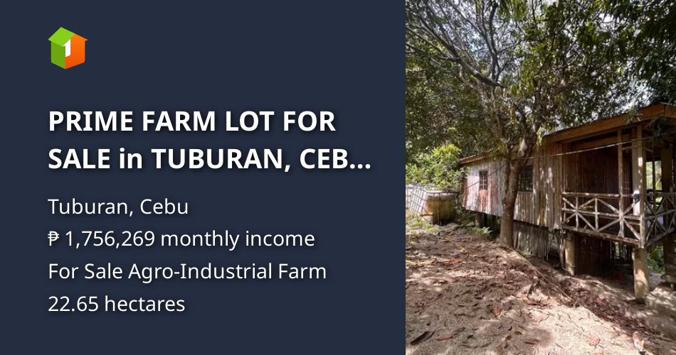 LOT FOR SALE in TUBURAN, CEBU PH - 22 Has. [Lots 🚜] (April 2025) in ...