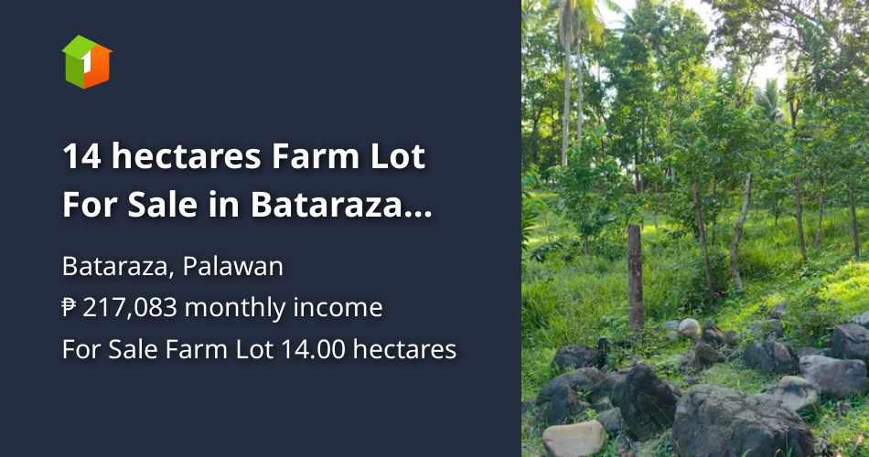 14 hectares Farm Lot For Sale in Bataraza Palawan [Lots 🚜] (December ...