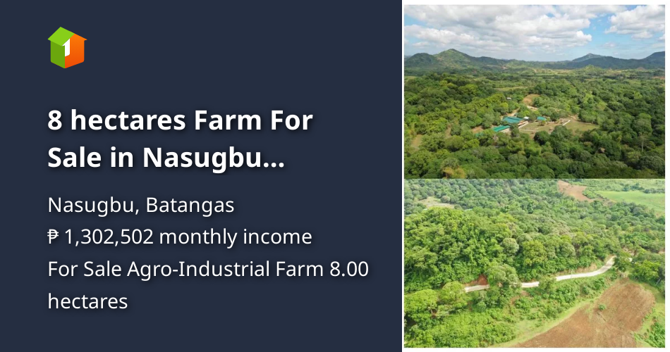 8 hectares Farm For Sale in Nasugbu Batangas Highly Negotiable! [Lots 🚜 ...