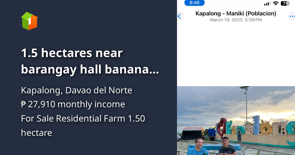 1.5 hectares near barangay hall banana plantation area with barangay ...