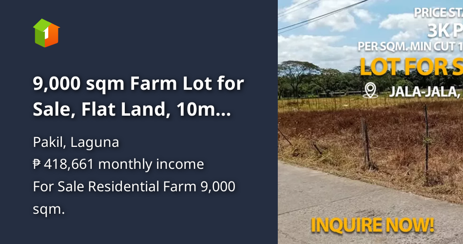 9,000 sqm Farm Lot for Sale, Flat Land, 10m from Highway, Utilities ...