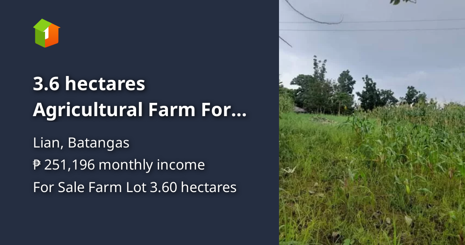 3.6 hectares Agricultural Farm For Sale in Lian Batangas [Lots 🚜 ...