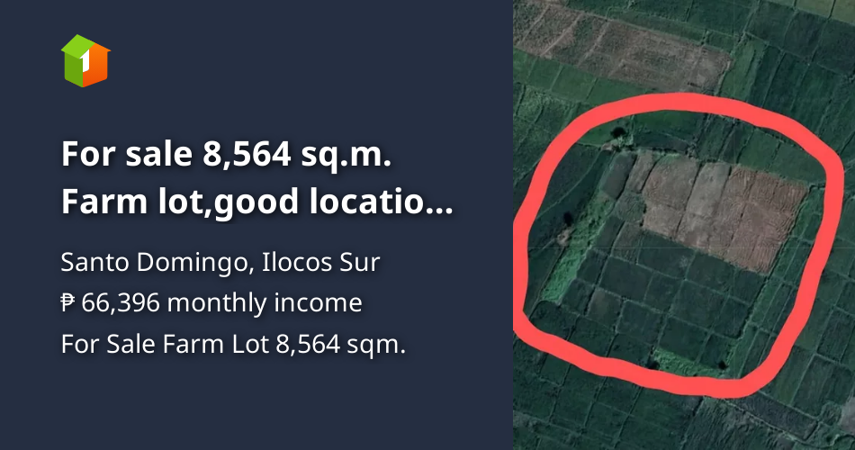 For sale 8,564 sq.m. Farm lot,good location near Paras,Sto.Domingo ...