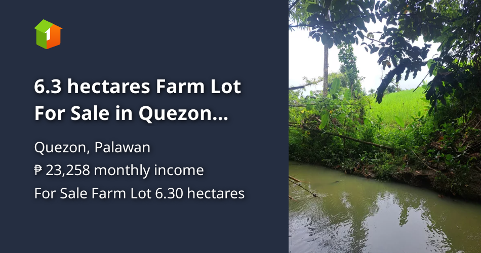 6.3 hectares Farm Lot For Sale in Quezon Palawan [Lots 🚜] (November ...