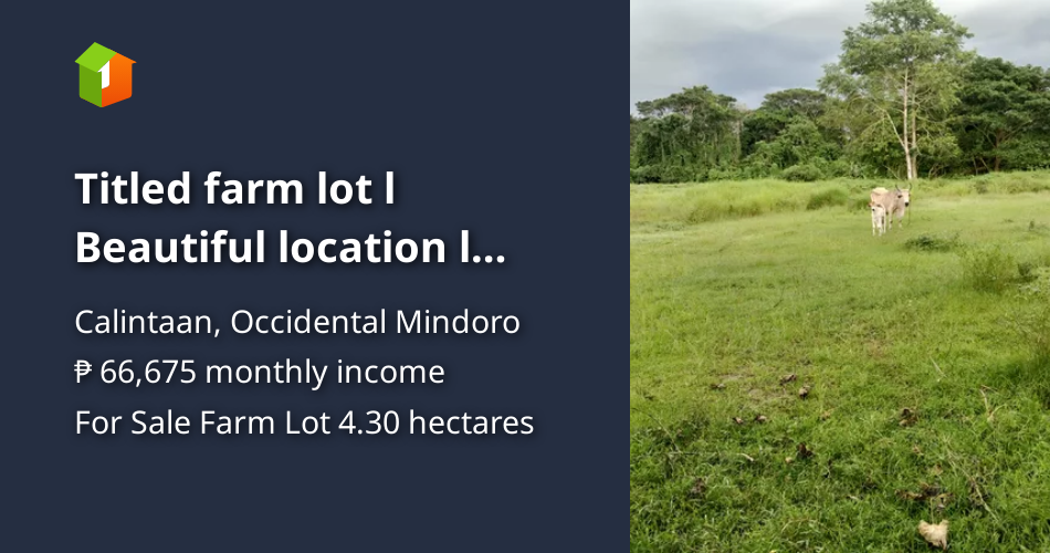 Titled farm lot l Beautiful location l Investment [Lots 🚜] (April 2026 ...