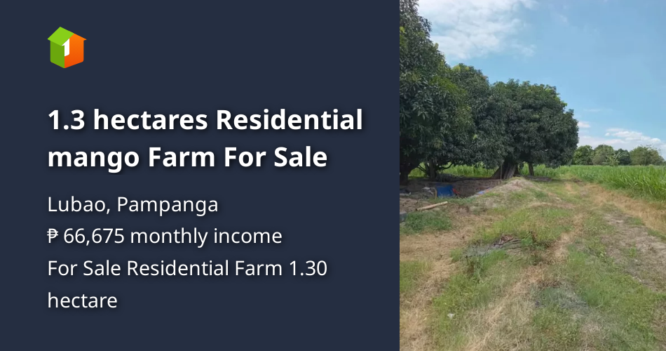 1.3 hectares Residential mango Farm For Sale [Lots 🚜] (October 2025) in ...