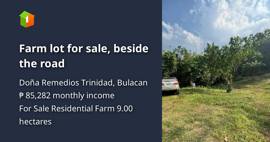 Farm lot for sale, beside the road [Lots 🚜] (April 2026) in Doña ...